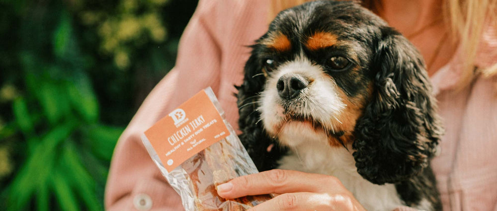 Dewkes | Boost Revenue with Natural Dog Treats for Cafés & Bars